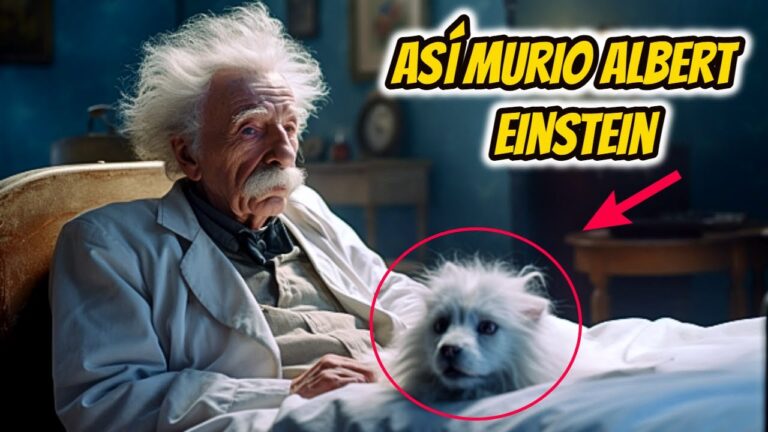 ¿De qué murió Albert Einstein? Causas y curiosidades de su fallecimiento - sertia.es - Blog de ...