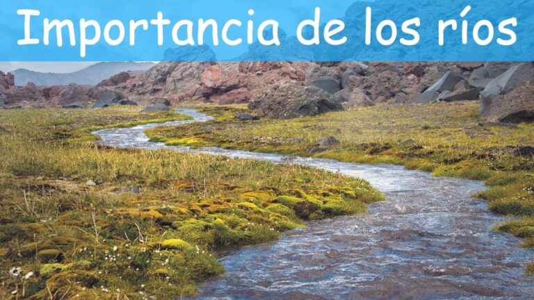 ¿Por qué son importantes los ríos? Descubre su vitalidad para el ...